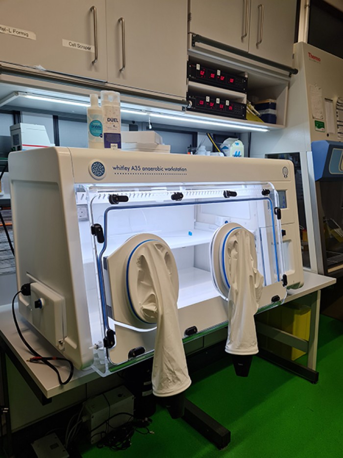 Whitley A 35 anaerobe Arbeitsstation erfolgreich installiert